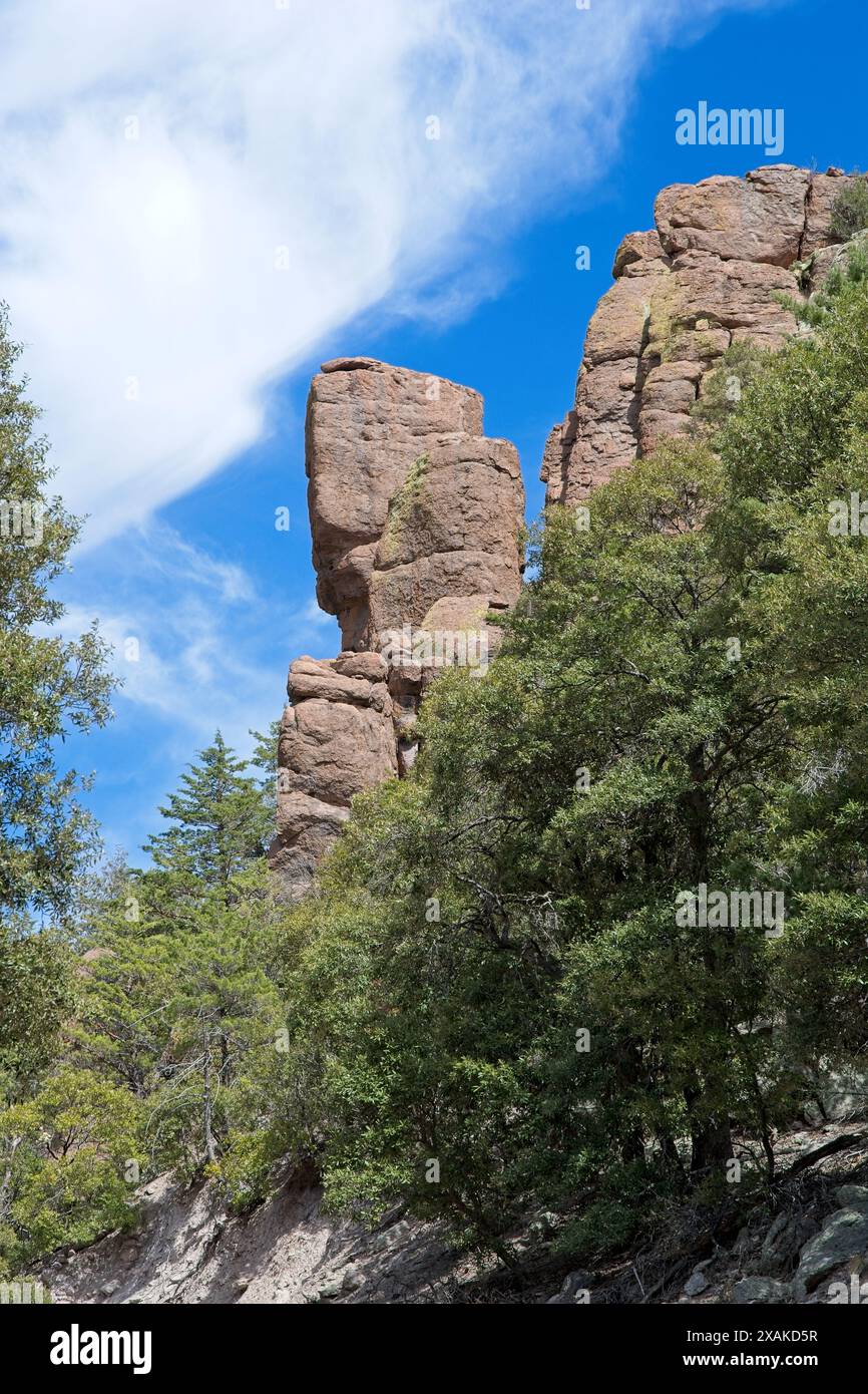 Rhyolite pinnacle formations at Chiricahua National Monument Stock ...