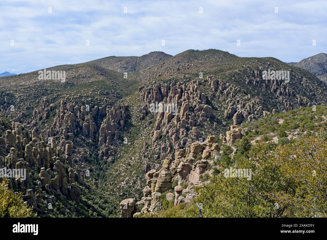 Eroding hillside of hoodoos in Chiricahua National Monument Stock Photo ...