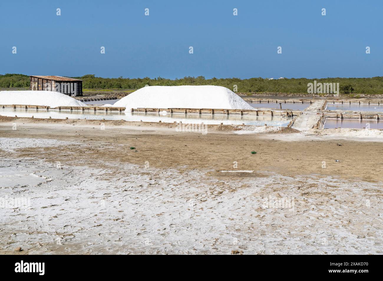 North America, Caribbean, Greater Antilles, Hispaniola Island ...