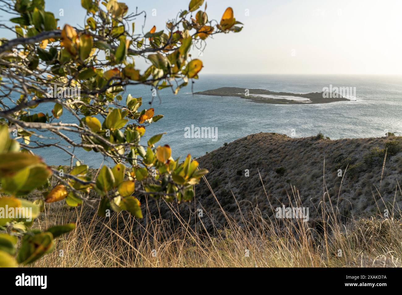 North America, Caribbean, Greater Antilles, Island Hispaniola ...
