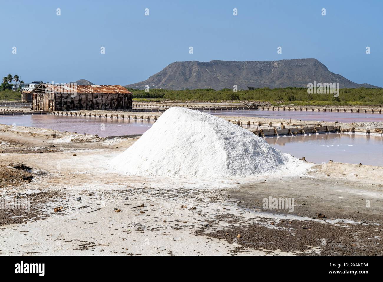 Monte cristi salt hi-res stock photography and images - Alamy