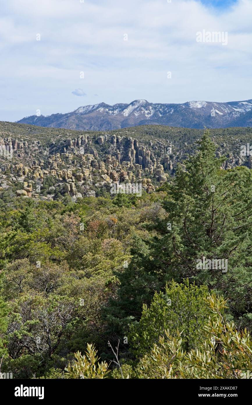 Eroding hillside of hoodoos in Chiricahua National Monument Stock Photo ...