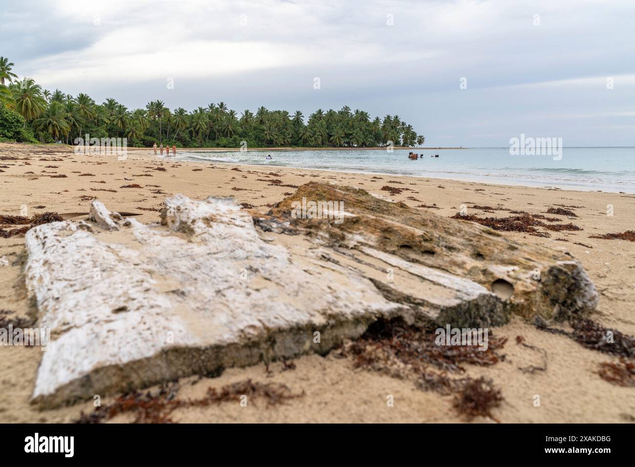 North America, Caribbean, Greater Antilles, Hispaniola Island ...