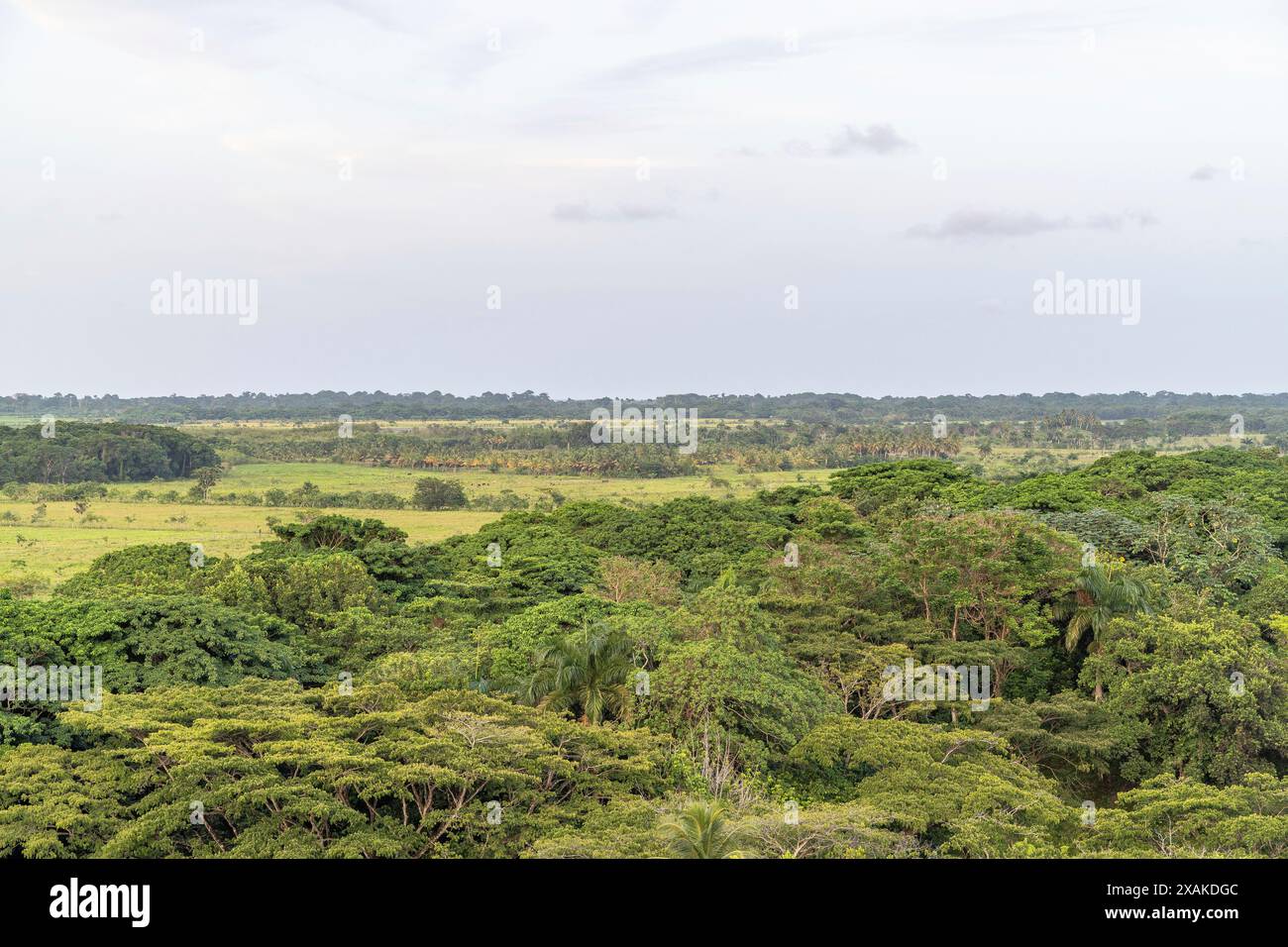 North America, Caribbean, Greater Antilles, Hispaniola Island ...