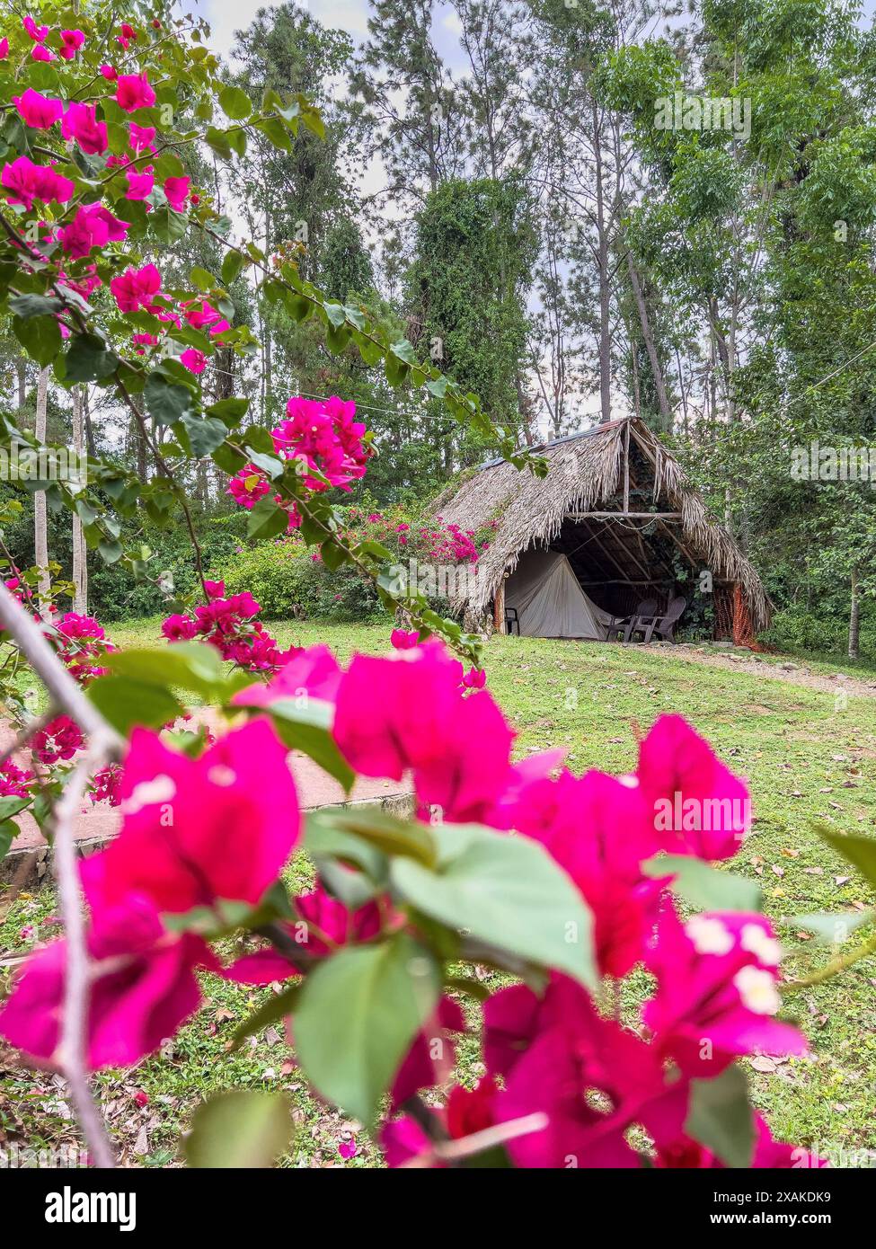 Lago glamping hi-res stock photography and images - Alamy