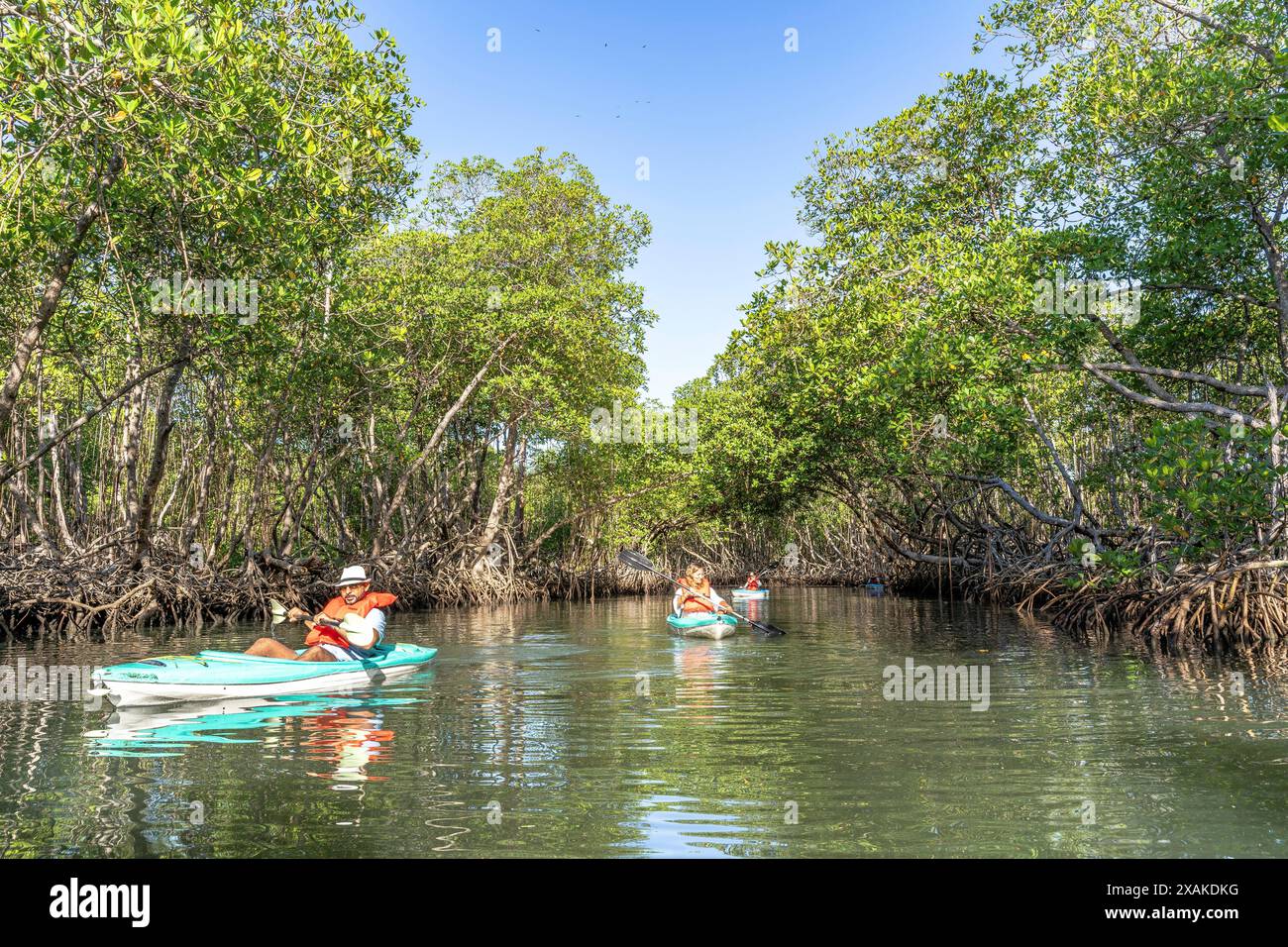 North America, Caribbean, Greater Antilles, Hispaniola Island ...
