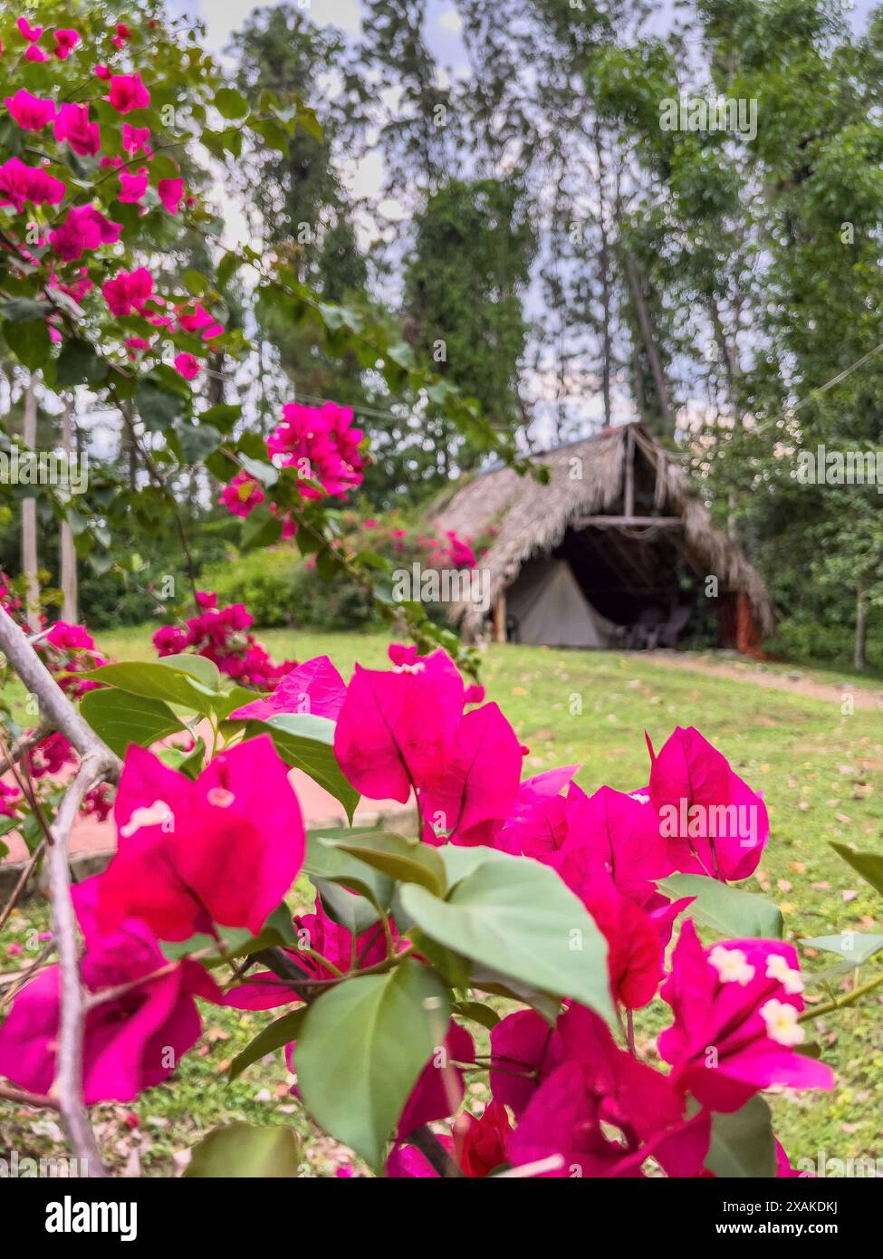 North America, Caribbean, Greater Antilles, Hispaniola Island ...