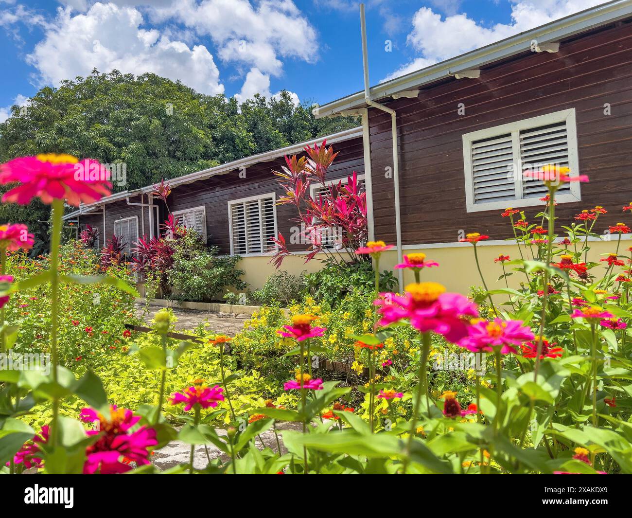 North America, Caribbean, Greater Antilles, Island Hispaniola ...