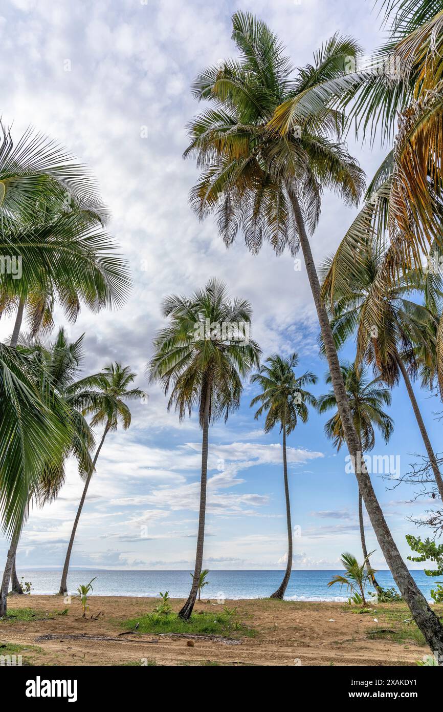 North America, Caribbean, Greater Antilles, Hispaniola Island ...