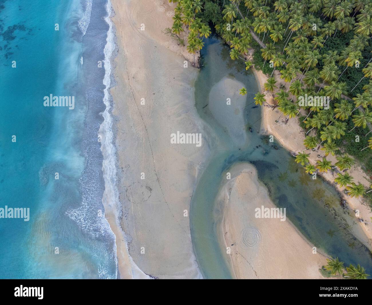 North America, Caribbean, Greater Antilles, Hispaniola Island ...