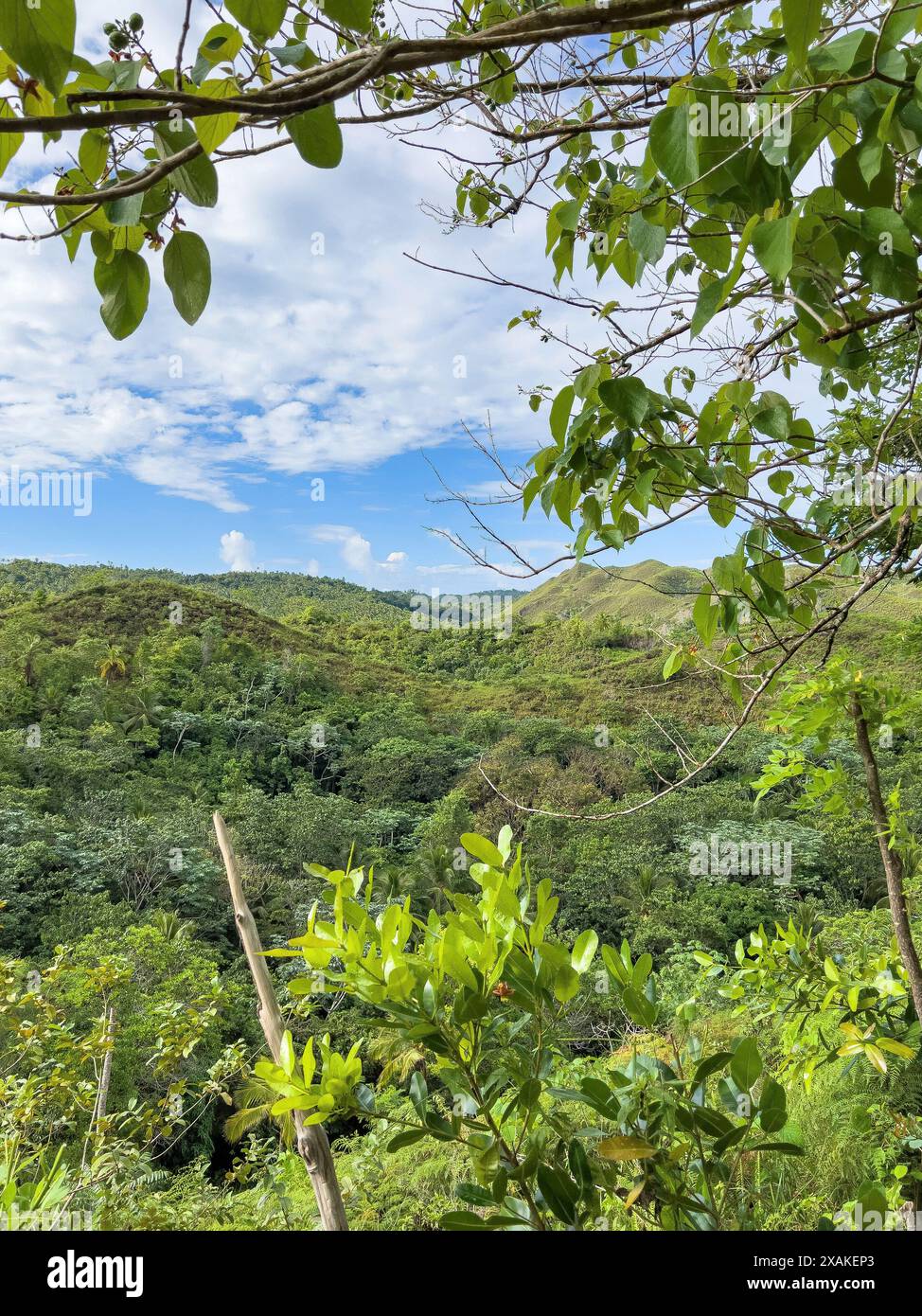 North America, Caribbean, Greater Antilles, Hispaniola Island ...