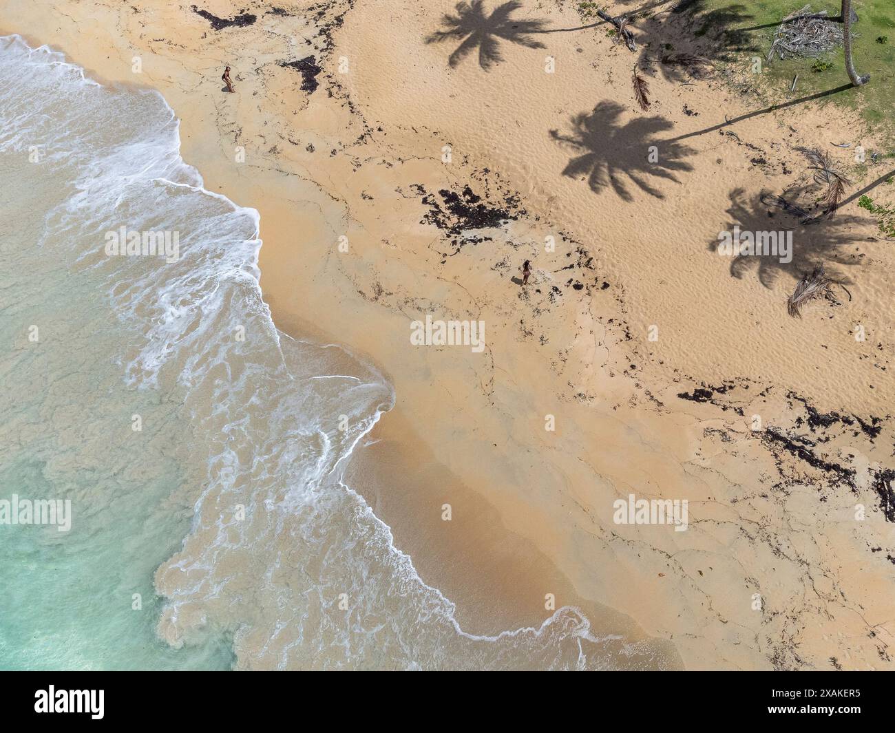 North America, Caribbean, Greater Antilles, Hispaniola Island ...