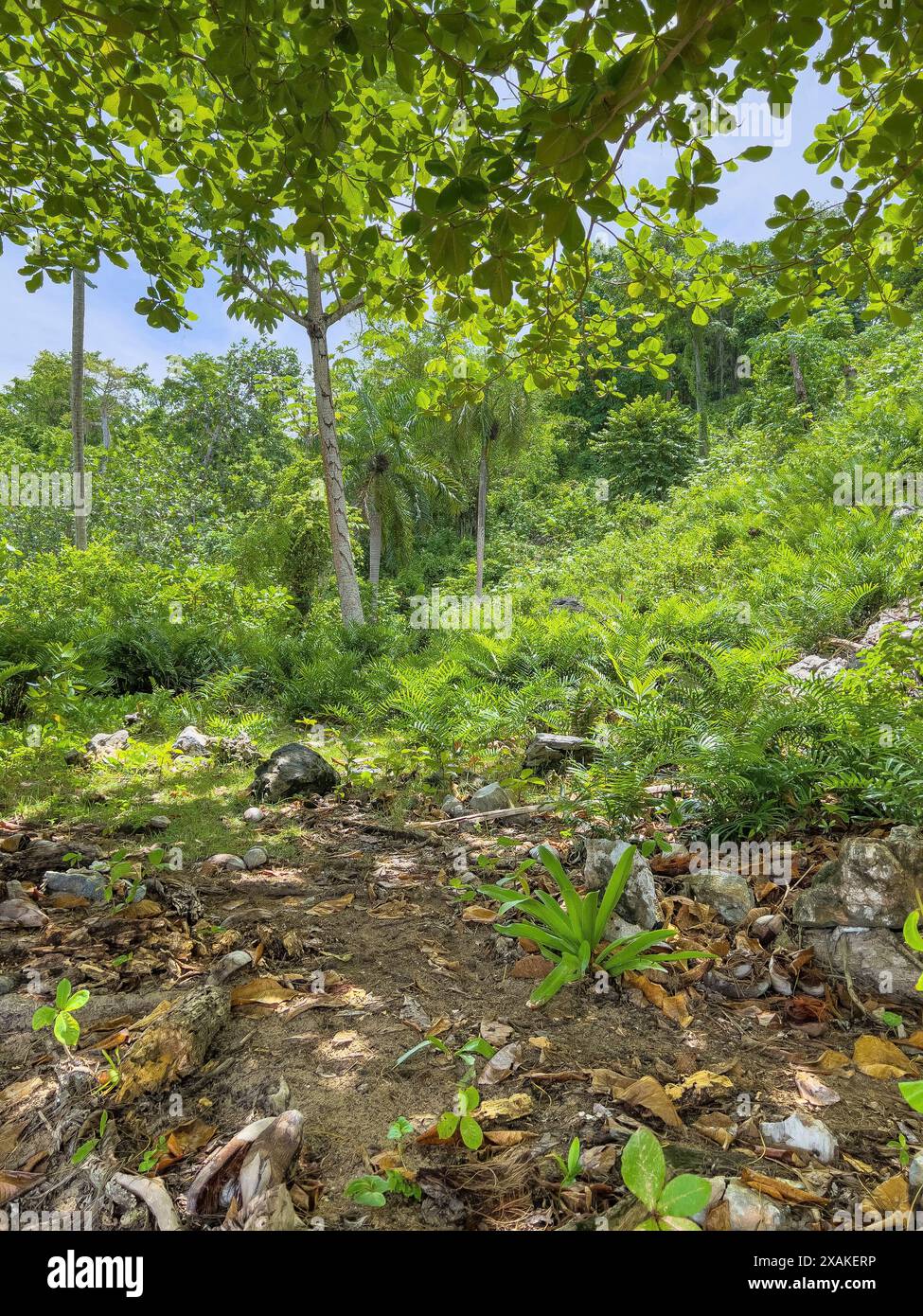 Playas escondidas hi-res stock photography and images - Alamy