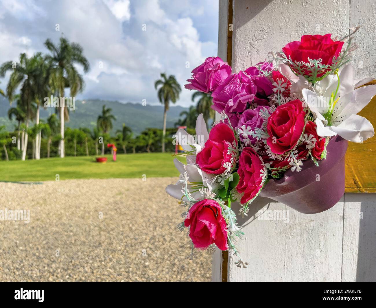 North America, Caribbean, Greater Antilles, Hispaniola Island ...