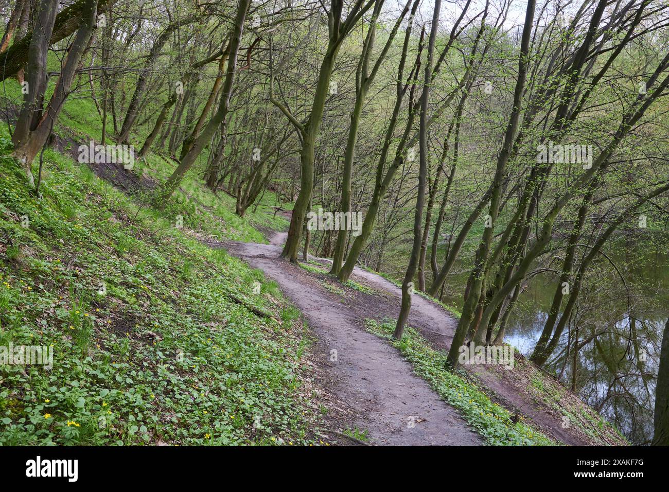 Early spring, dirt path in the park along the pond Stock Photo - Alamy