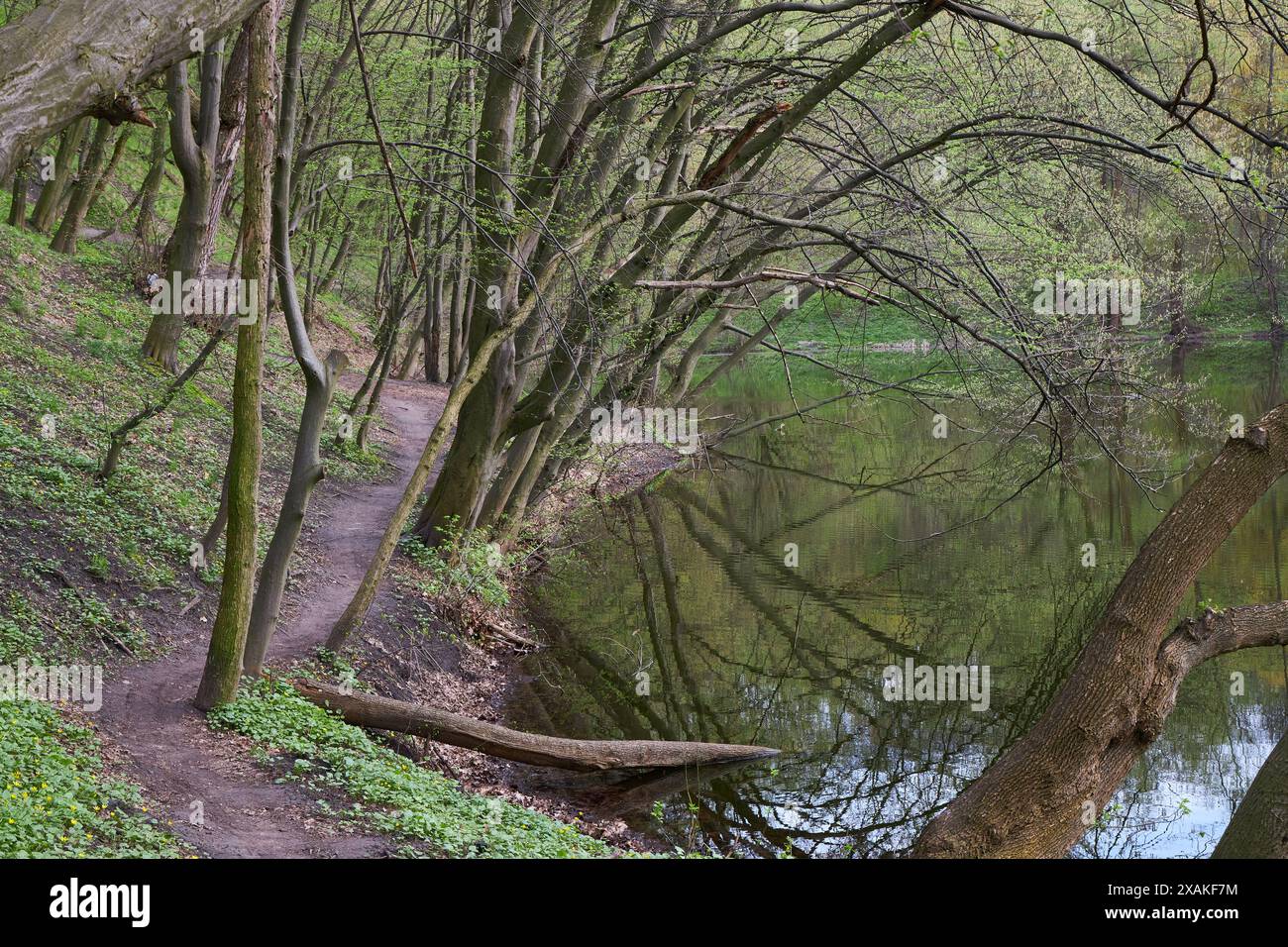 Early spring, dirt path in the park along the pond Stock Photo - Alamy