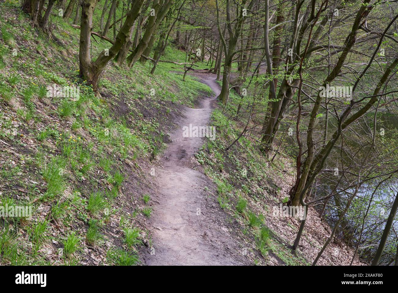 Early spring, dirt path in the park along the pond Stock Photo - Alamy