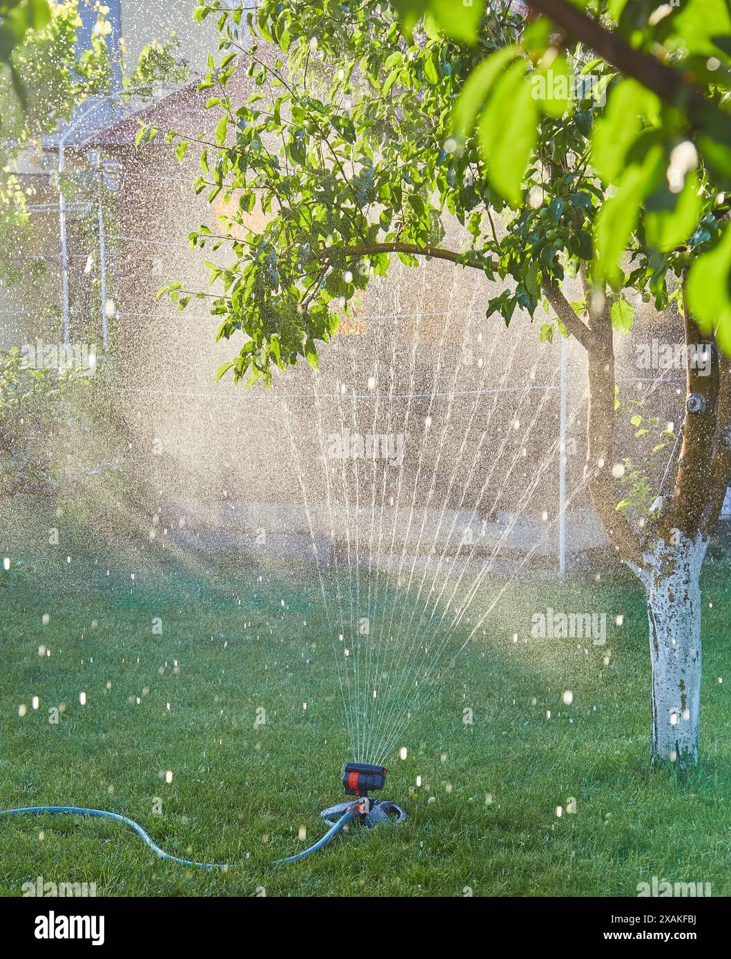 Automatic garden watering system with different sprinklers installed ...