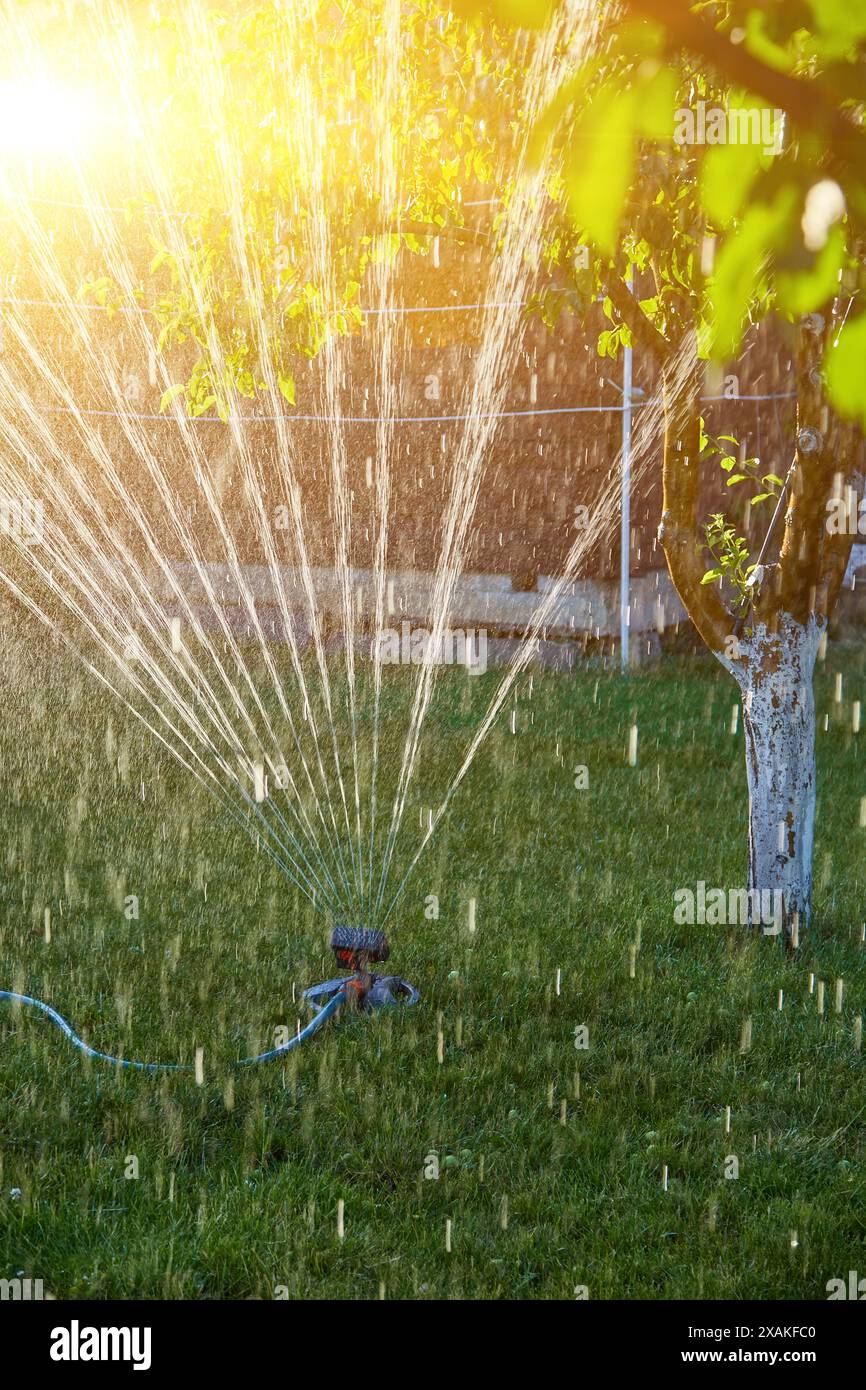 Automatic garden watering system with different sprinklers installed ...