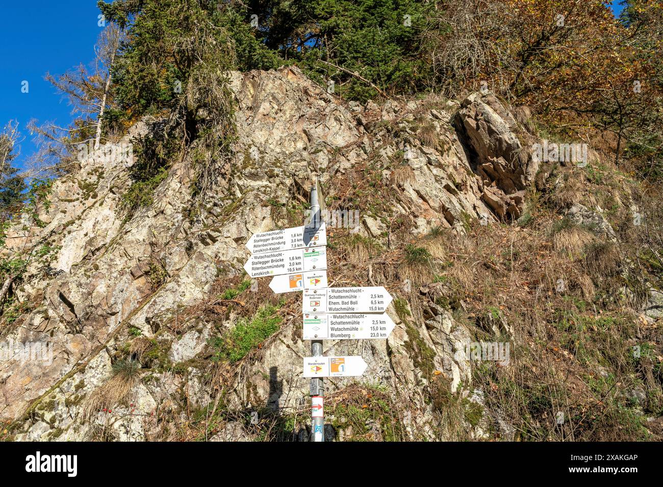 Europe, Germany, Baden-Württemberg, Black Forest, Southern Black Forest ...