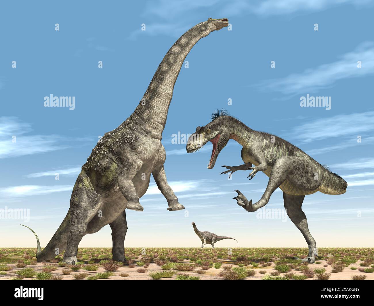 The dinosaurs Diamantinasaurus and Megalosaurus Stock Photo - Alamy