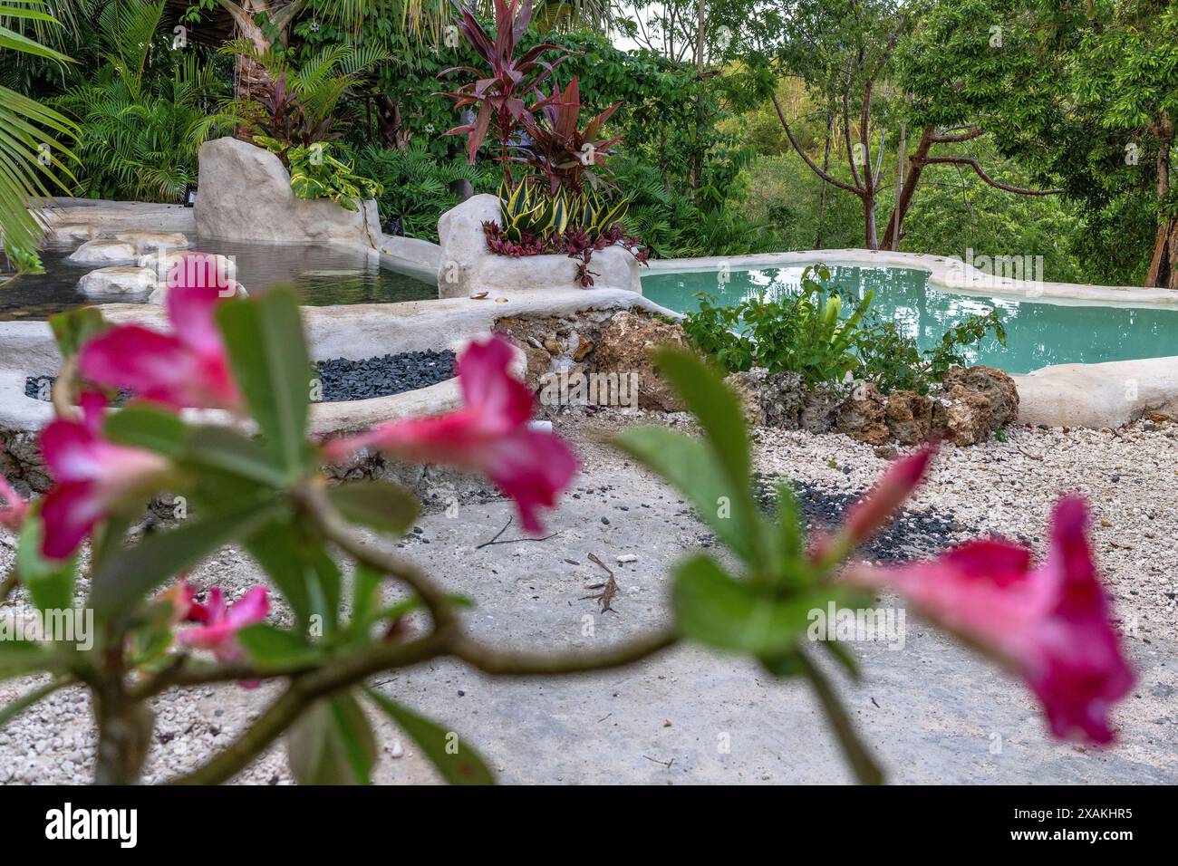 North America, Caribbean, Greater Antilles, Hispaniola Island ...