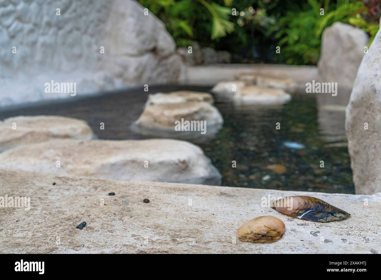 North America, Caribbean, Greater Antilles, Hispaniola Island ...