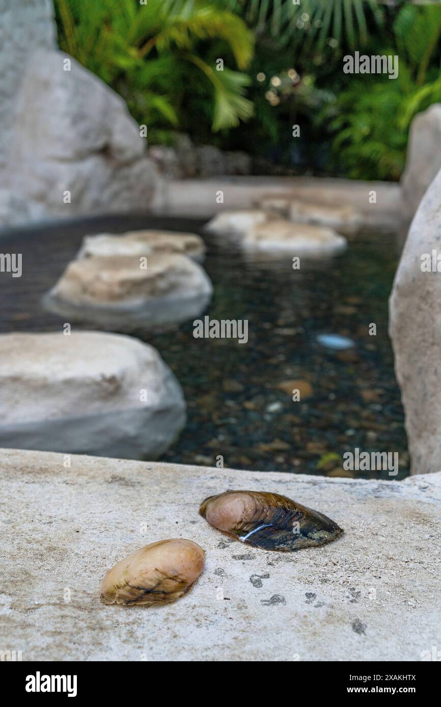 North America, Caribbean, Greater Antilles, Hispaniola Island ...