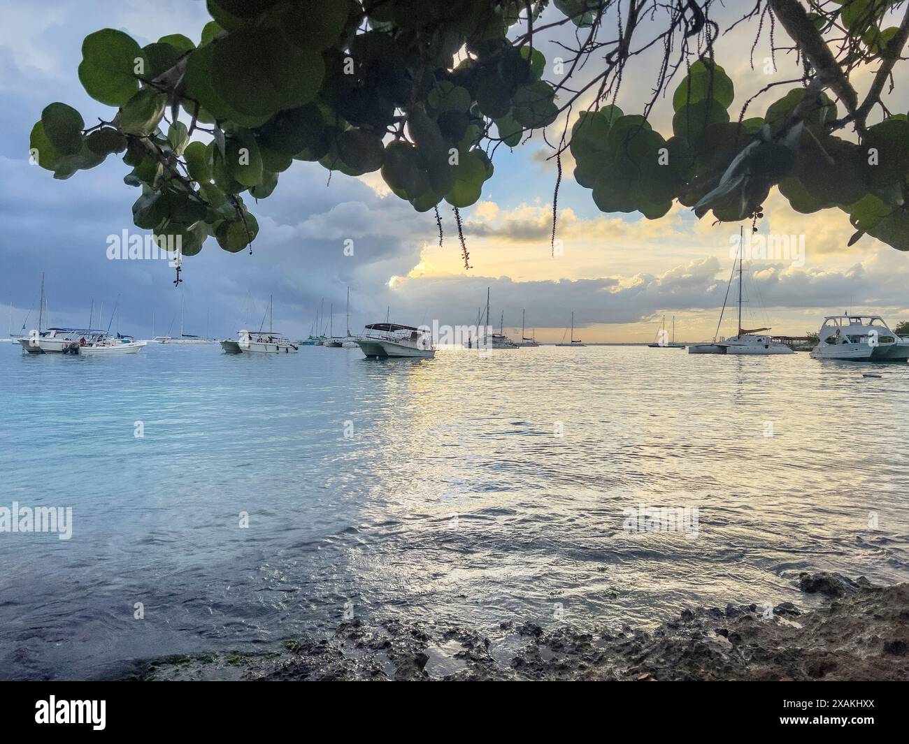 North America, Caribbean, Greater Antilles, Island Hispaniola ...