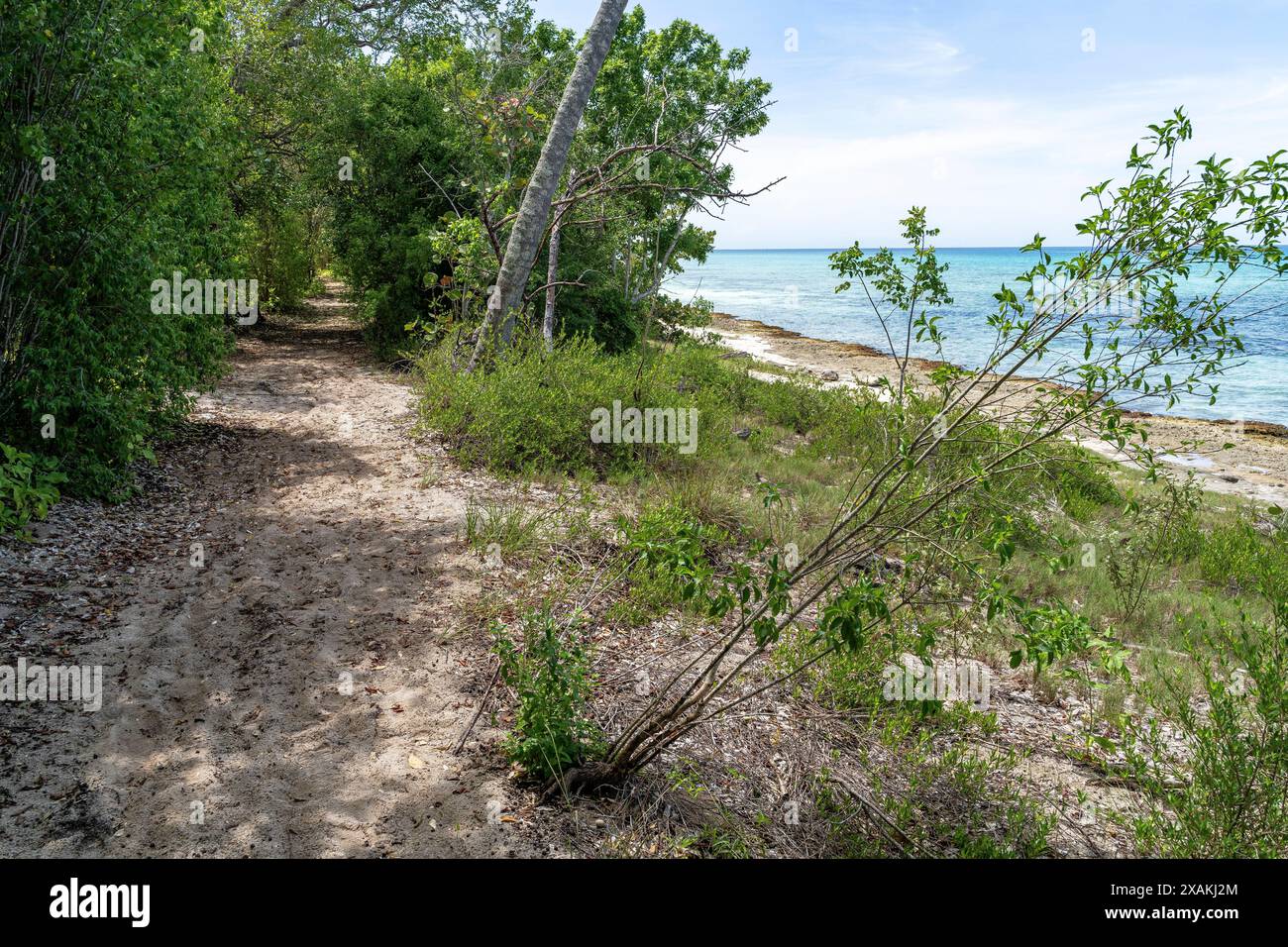 North America, Caribbean, Greater Antilles, Hispaniola Island ...
