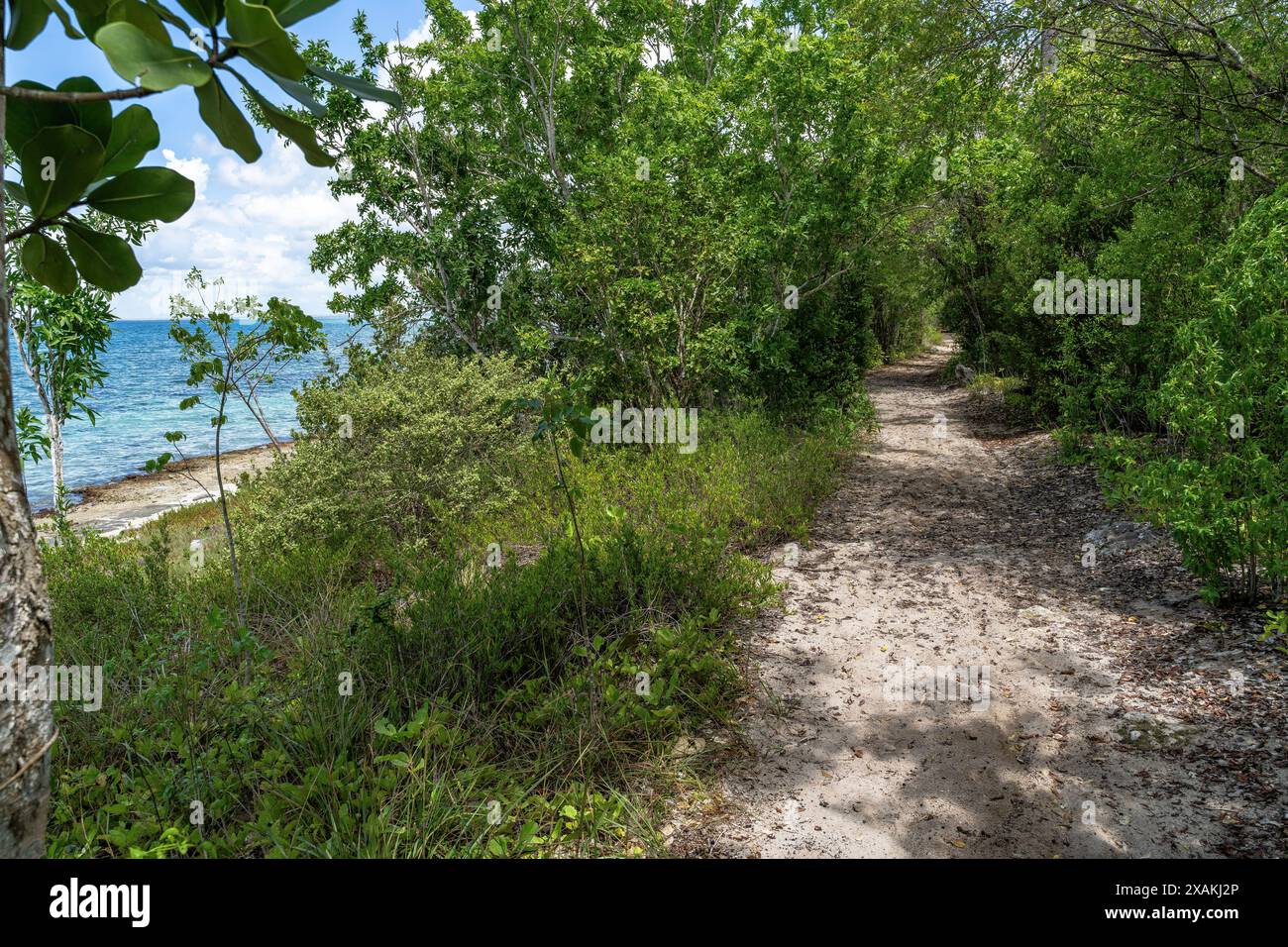 North America, Caribbean, Greater Antilles, Hispaniola Island ...