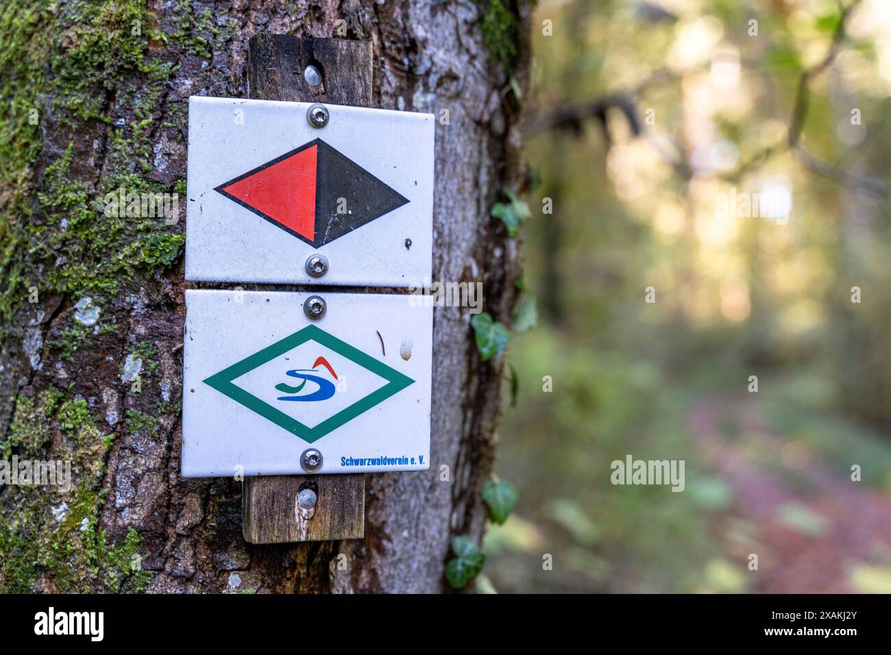 Europe, Germany, Baden-Württemberg, Black Forest, Southern Black Forest ...