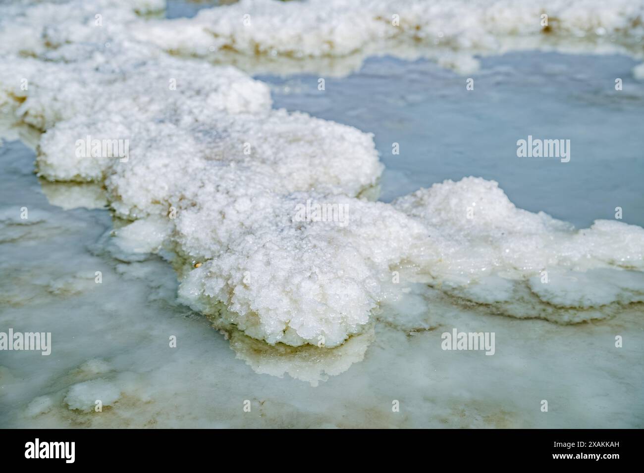 Observing salt formation in water is fascinating, with crystals and ...