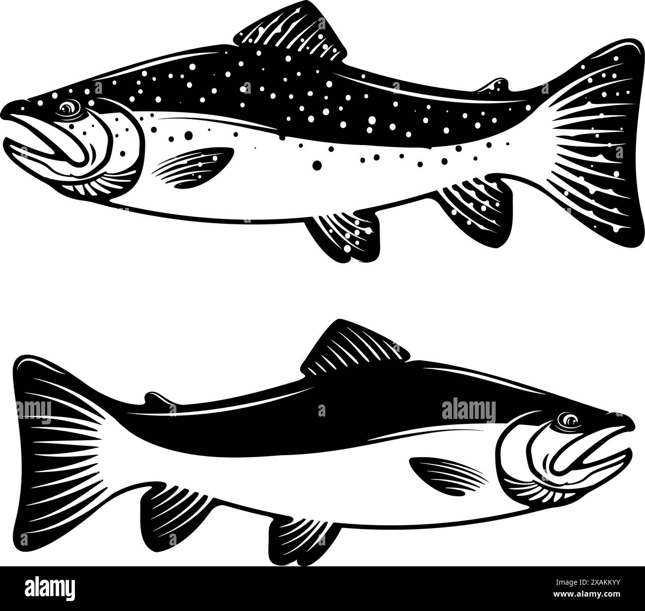 Rainbow trout vector vectors hi-res stock photography and images - Alamy