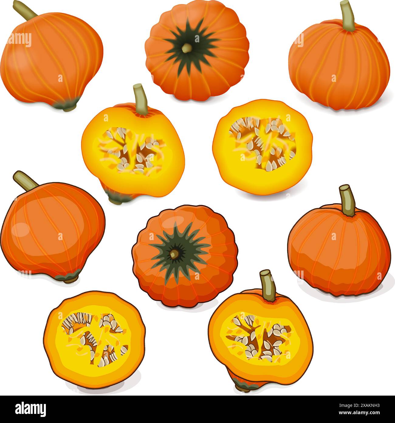 Set of Golden Nugget squash. Winter squash. Cucurbita maxima. Fruits ...