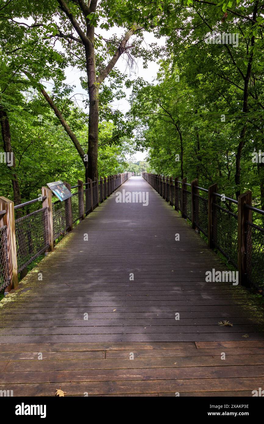 The canopy walkway at Galien River County Park near New Buffalo ...