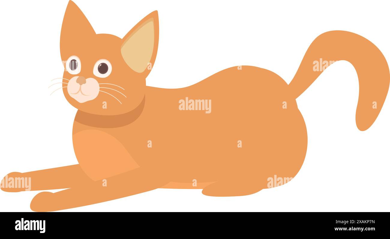 Adorable ginger cat relaxing, lying on its belly and looking up with ...