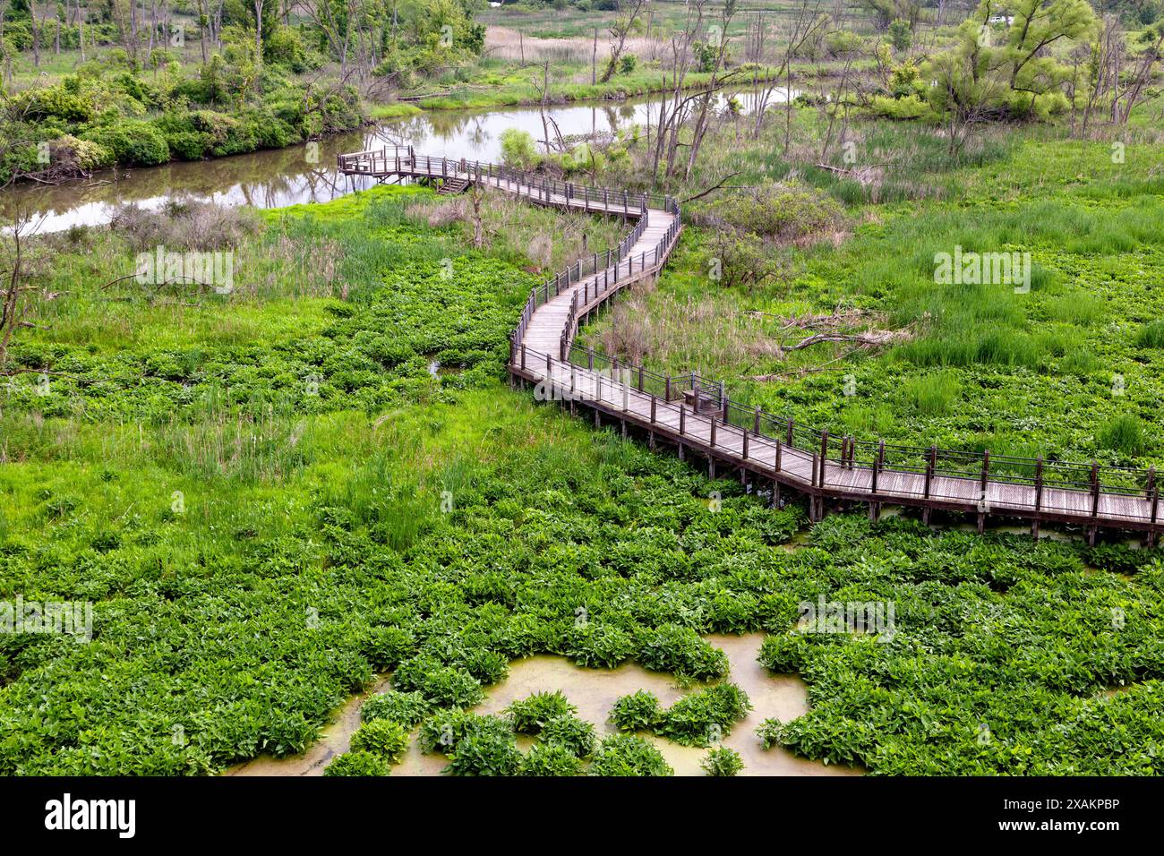 The marsh boardwalk at the Galien River County Park near New Buffalo ...
