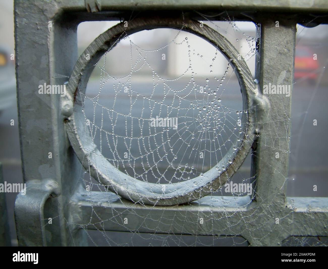 Spider web gate hi-res stock photography and images - Alamy