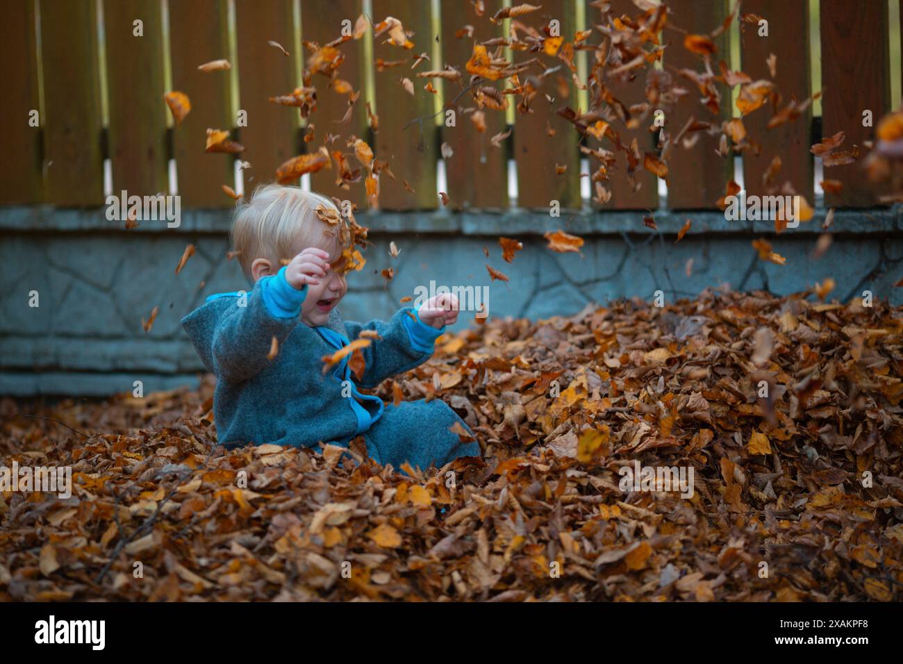 Child playing with leaves Stock Photo - Alamy
