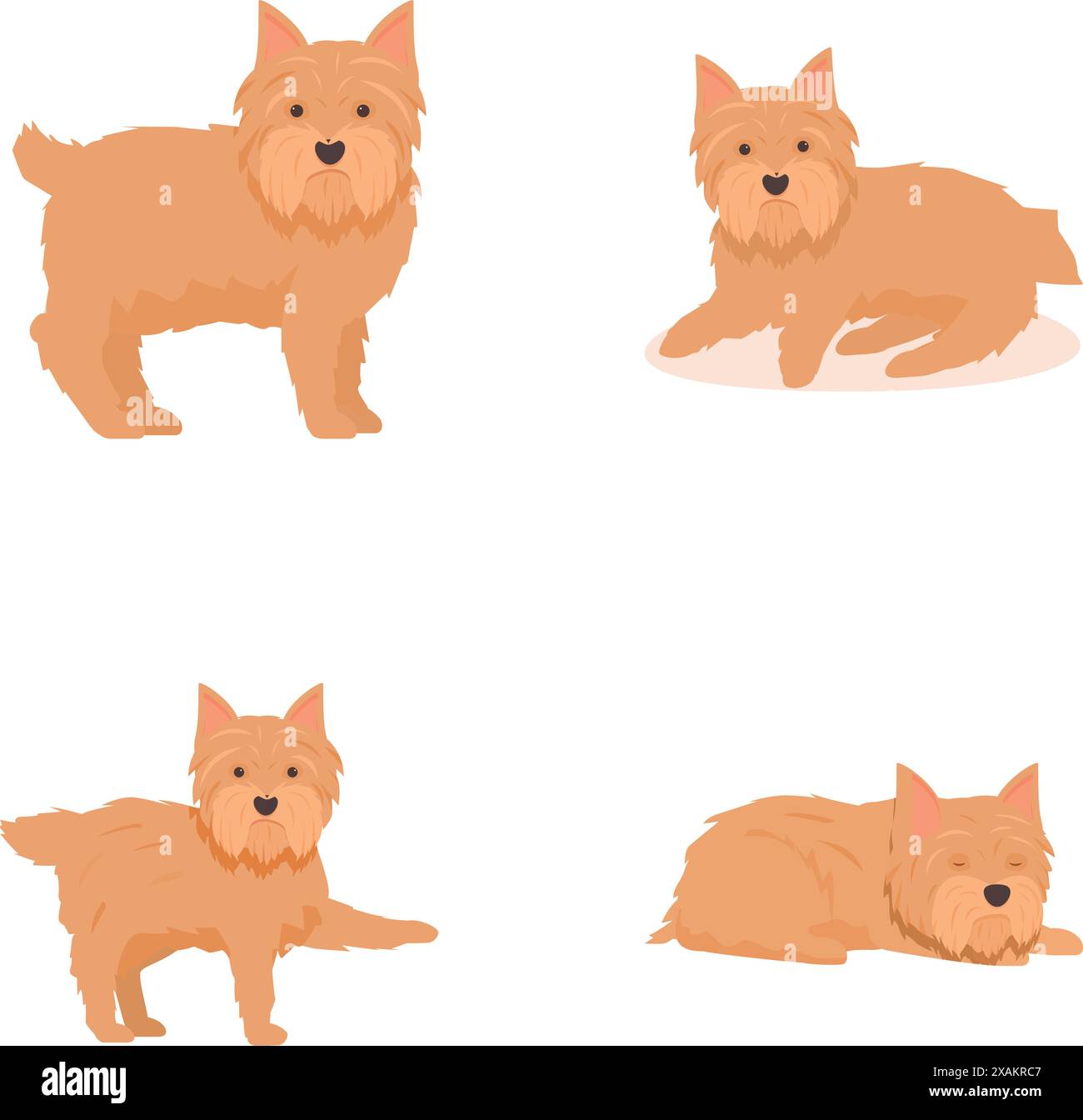 Illustration collection featuring adorable yorkshire terriers in ...