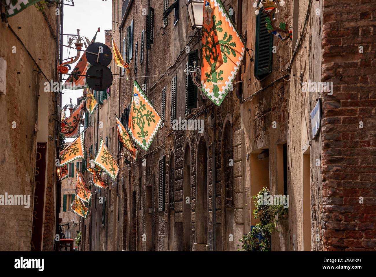 Contrade flag of the Selva-Rhino city district hanging in a street in ...