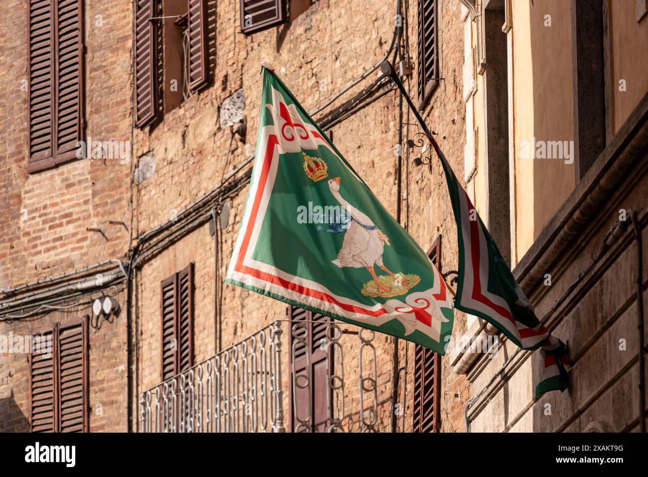 Contrade flags of the Oca-Goose city district hanging in a street in ...