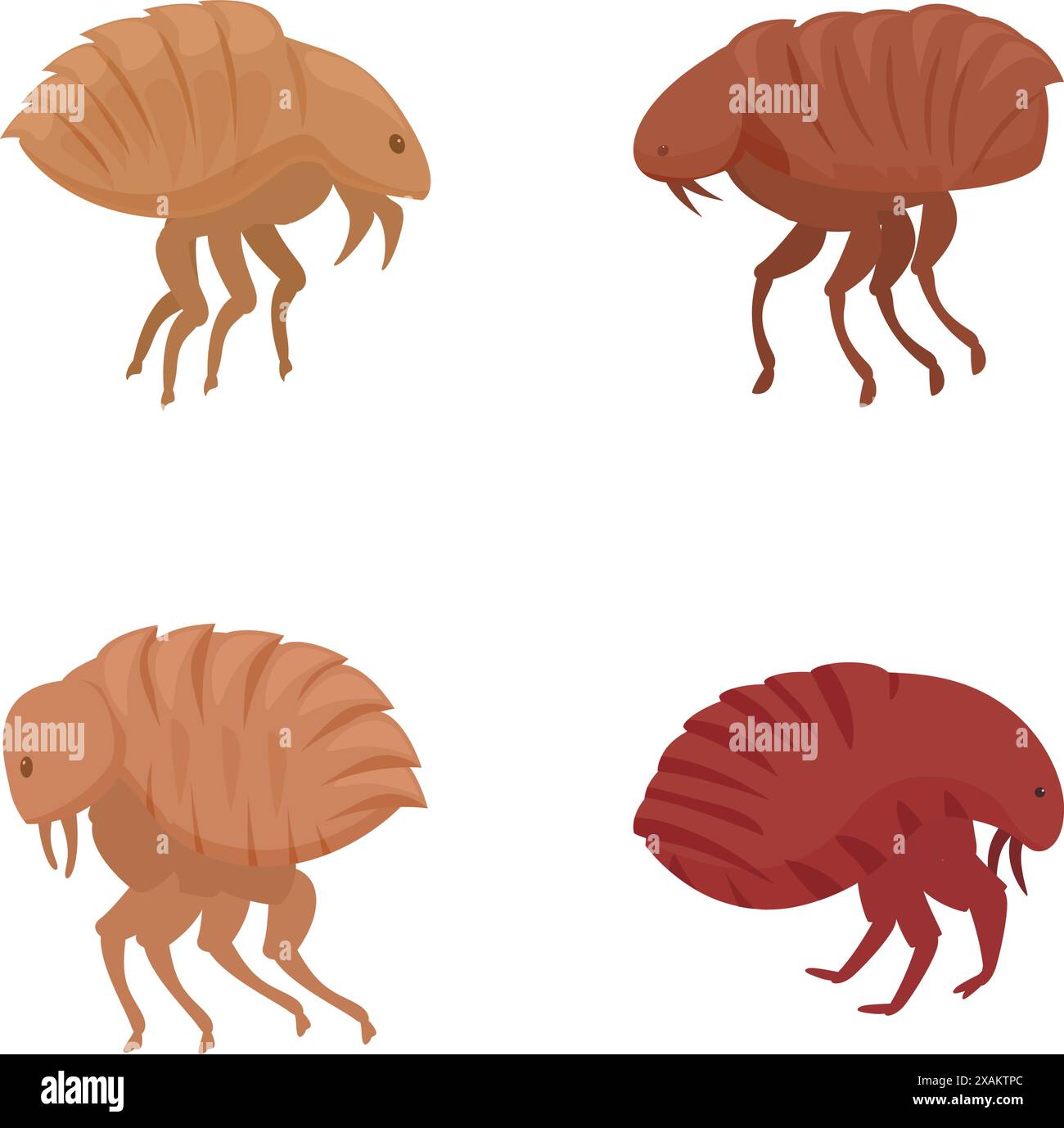 Illustration collection of stylized cartoon fleas in four different ...