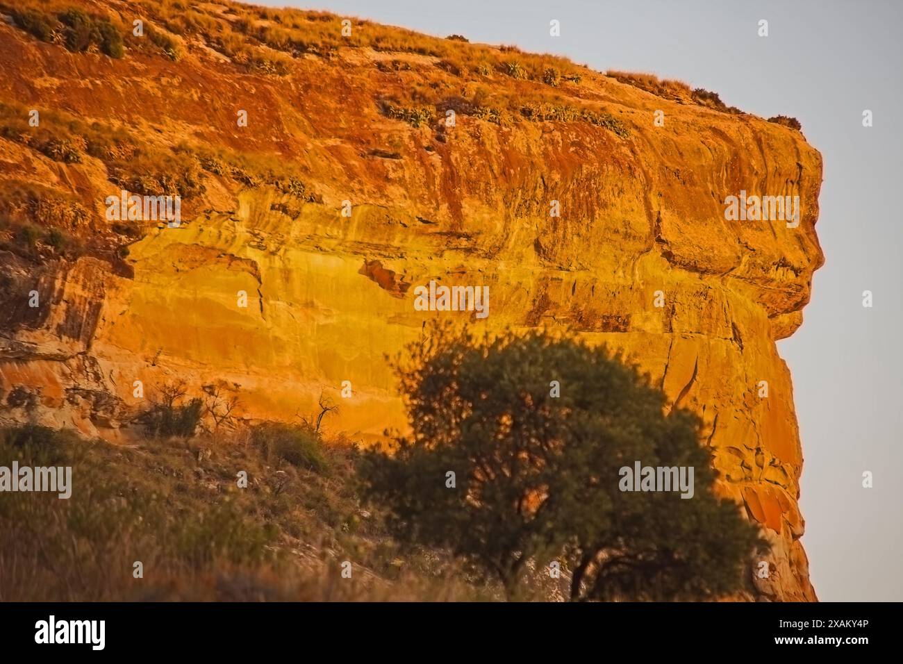 Drakensberg Sandstone cliff 16018 Stock Photo - Alamy
