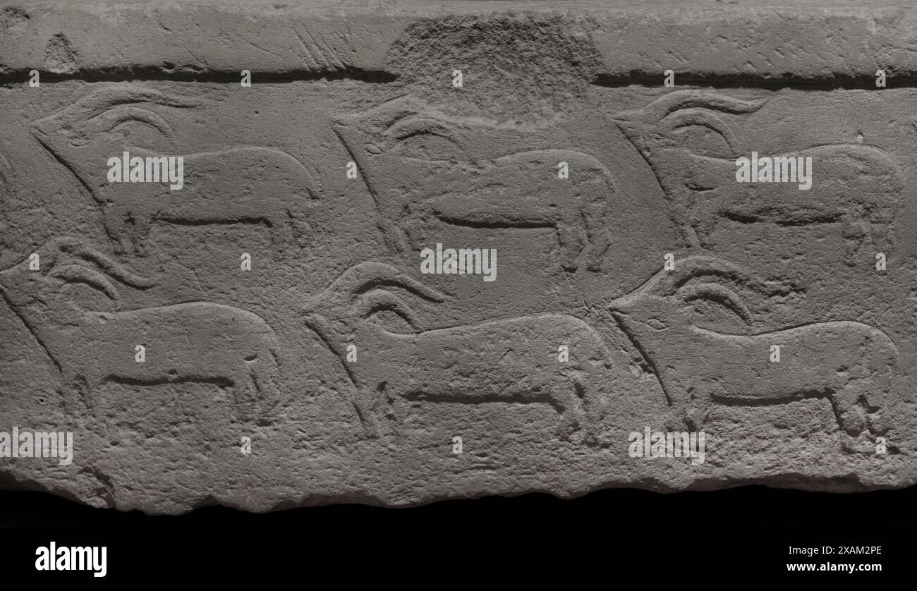 Neolithic Period. Temple Period (3600 to 2500 BC). Tarxien Temple ...