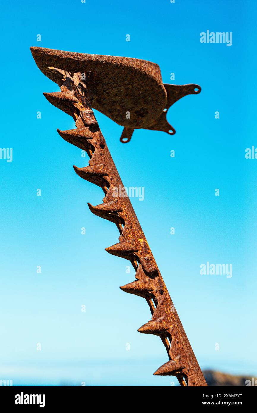 scythe; blades; sharp; cut; mow; Rusted, old antique farm scythe ...