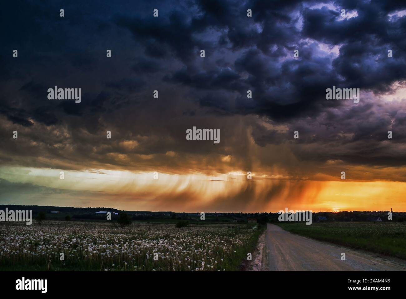 Rays of light shine down from a cloudy sky into a fields. Sun beams ...
