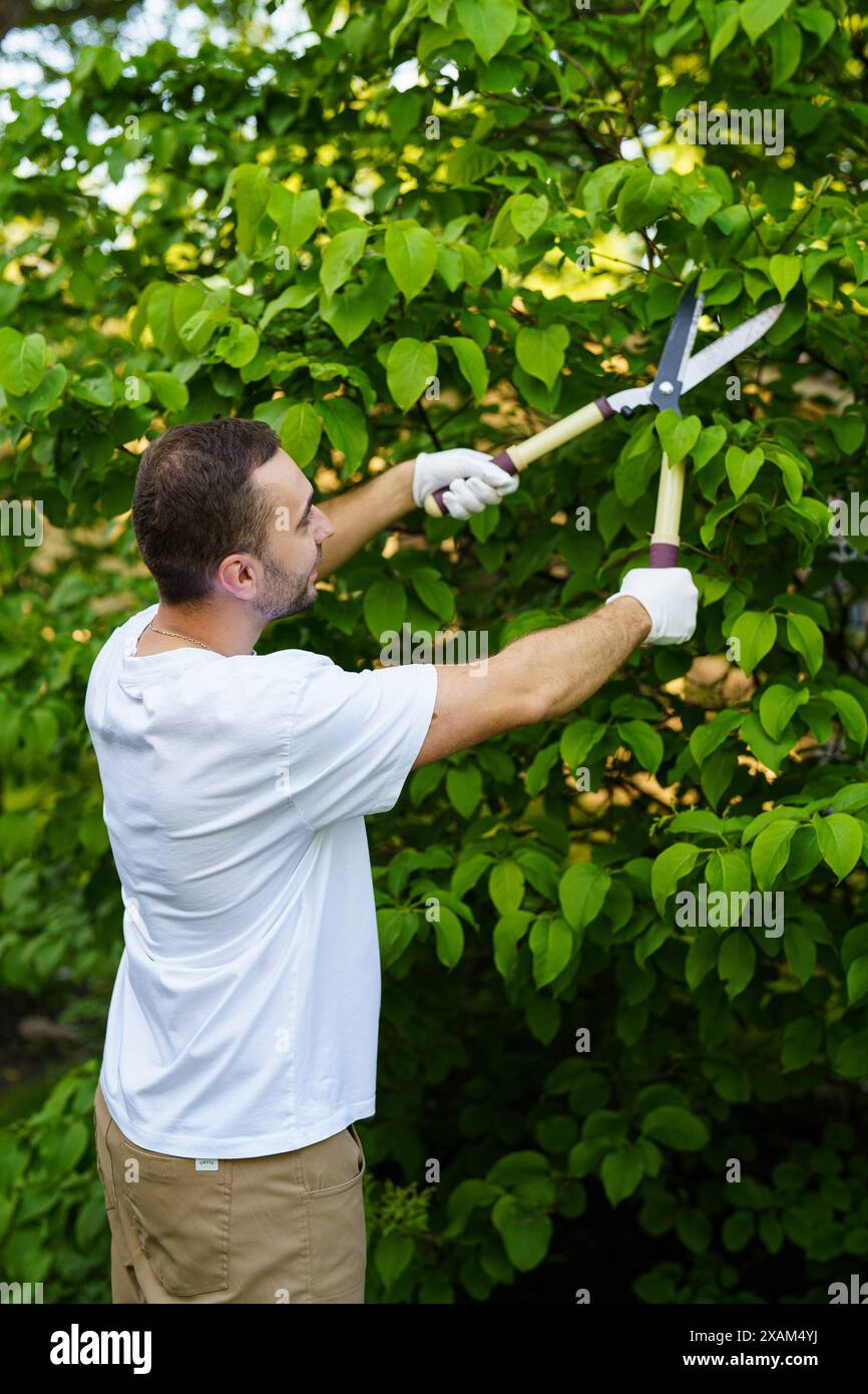 Professional trimming plants bush hi-res stock photography and images ...