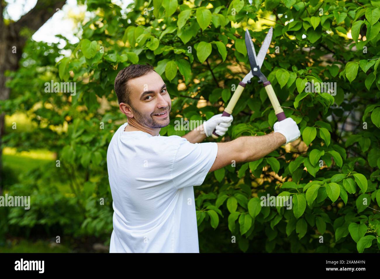 Landscaper trimming bushes in backyard hi-res stock photography and ...